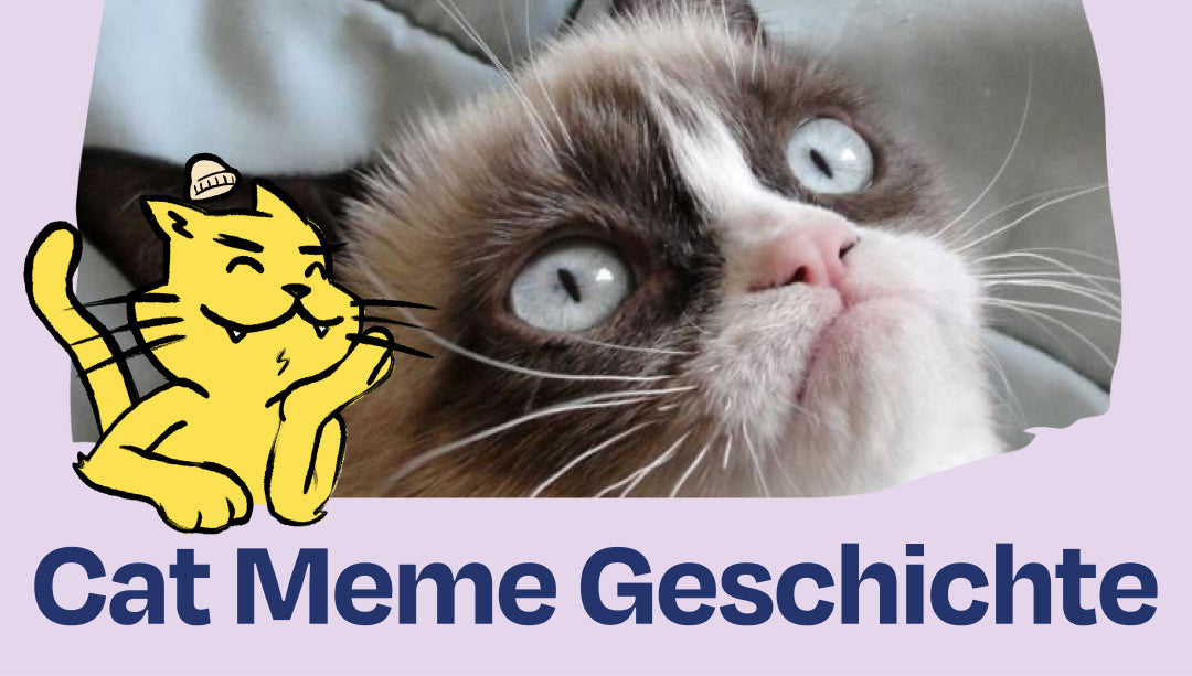 Die Geschichte hinter dem Katzen Meme – The Better Cat