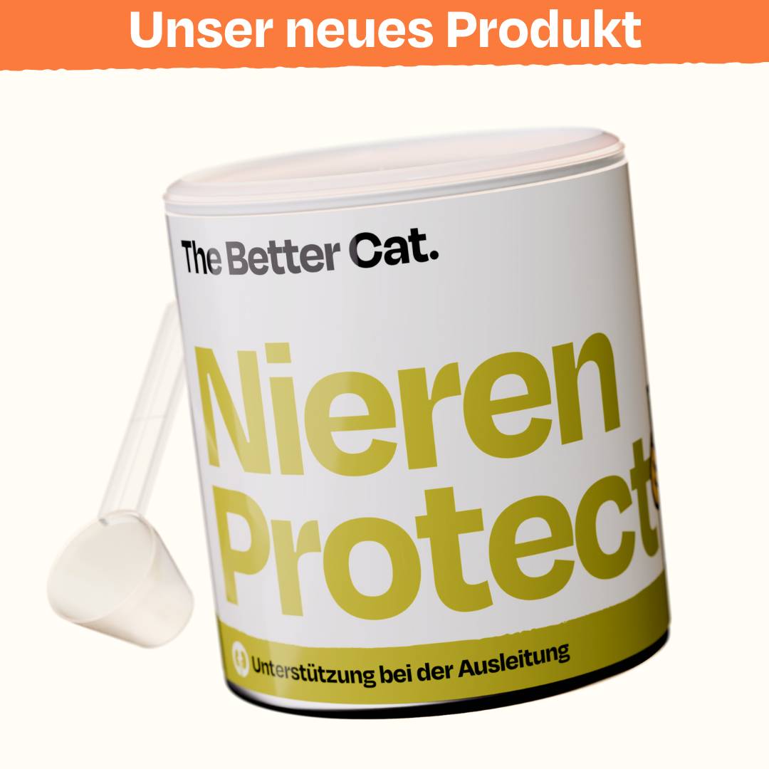 Katzenfutter - exklusiv für Katzen entwickelt - von Katzen und den ...