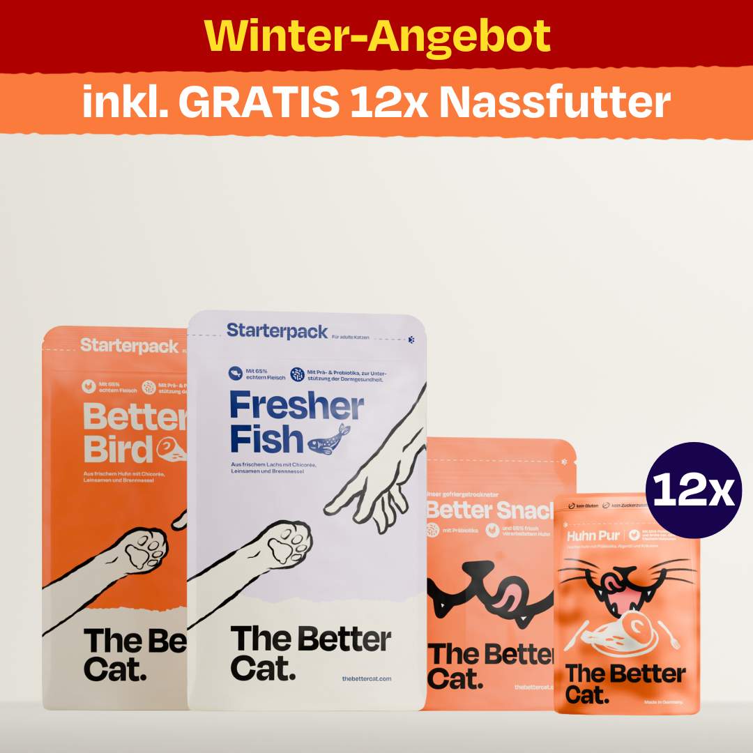 Katzenfutter - exklusiv für Katzen entwickelt - von Katzen und den ...