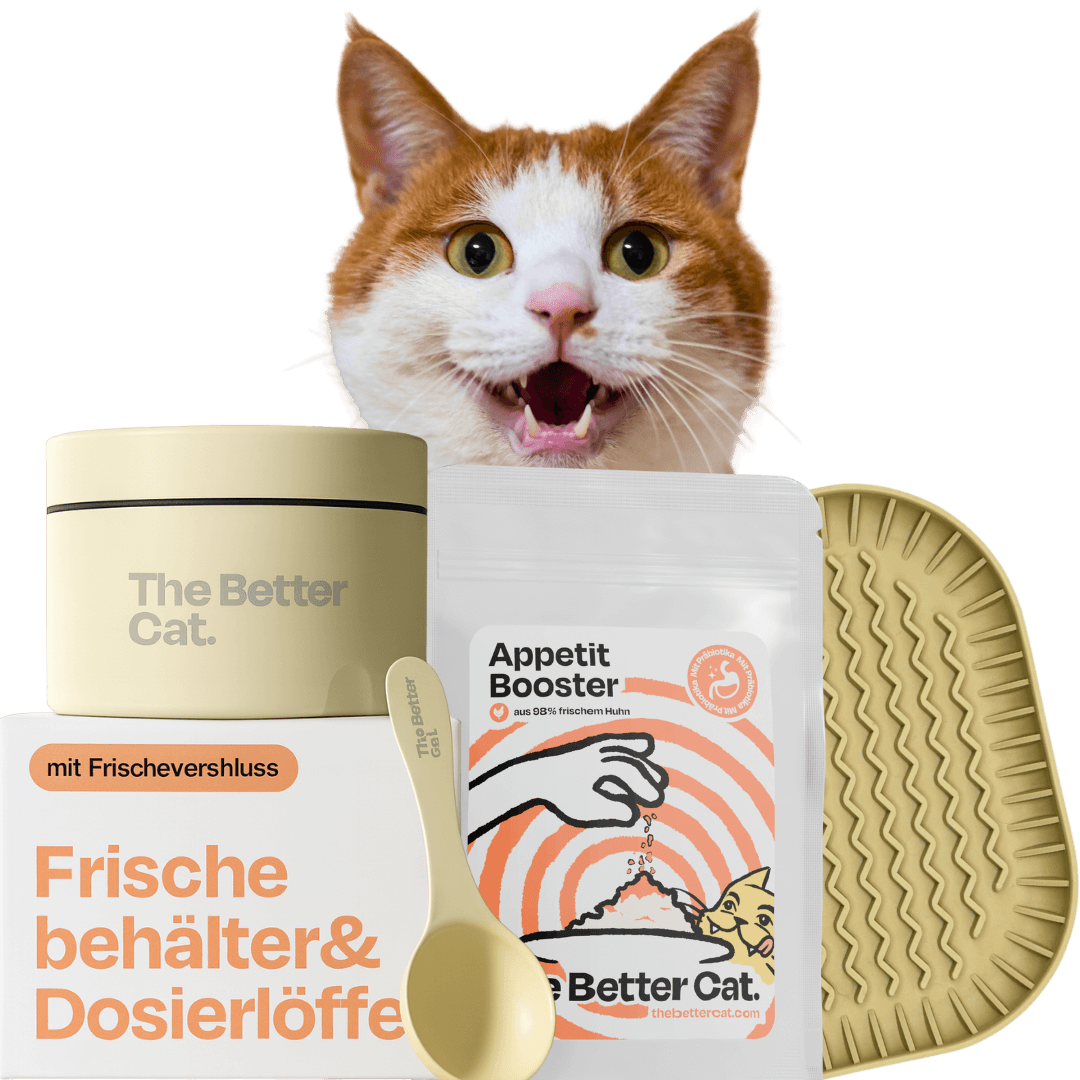Katzenfutter - exklusiv für Katzen entwickelt - von Katzen und den ...