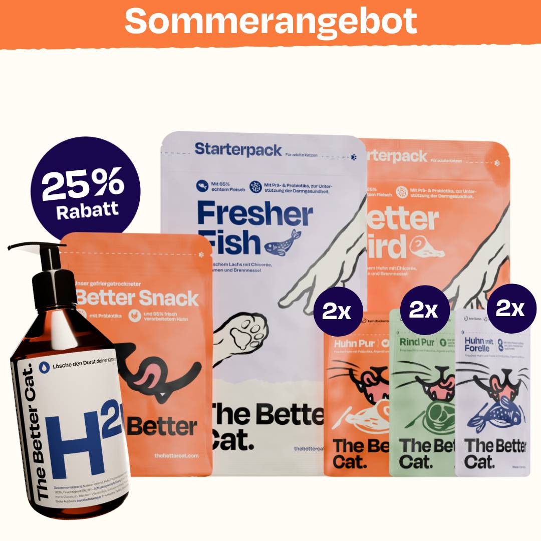 Alle Produkte 🐱 – The Better Cat