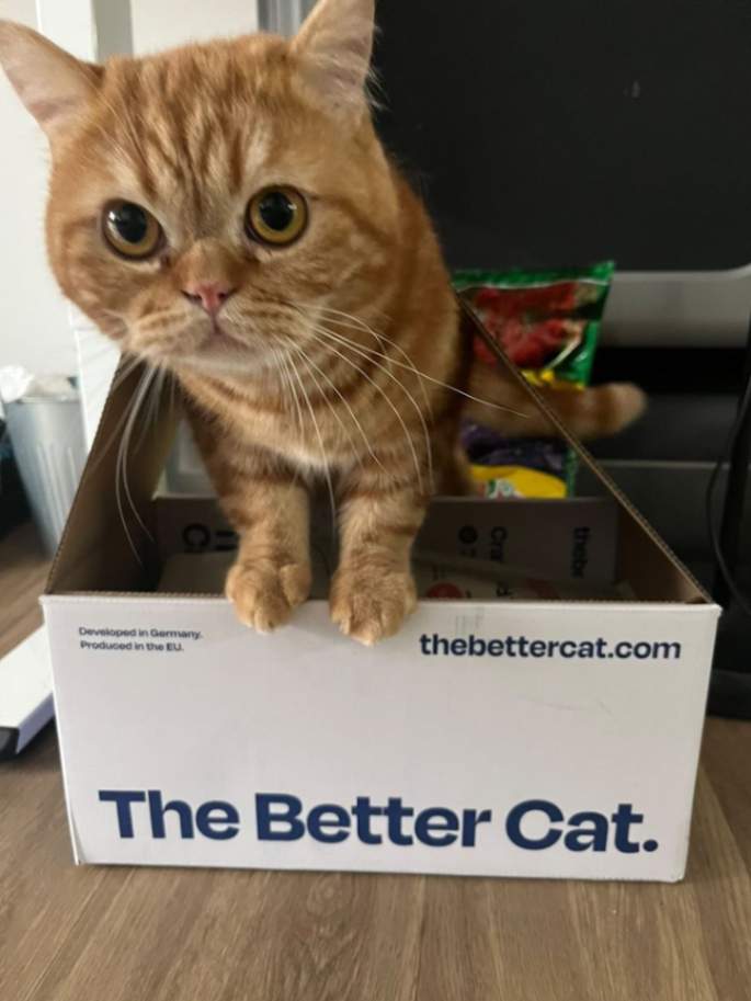 Cat Food - Made for cats, by cats and the scientists who love them ...