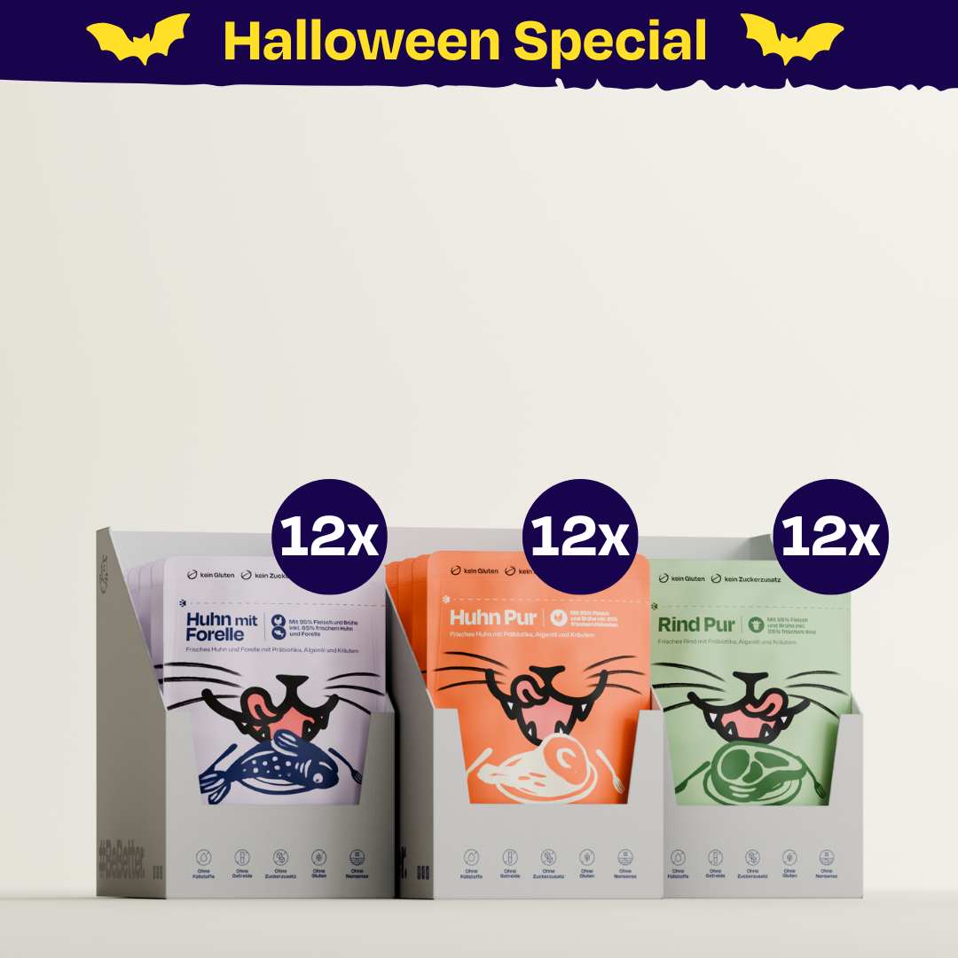Halloween Special: Spooky Deals für dich und deinen Stubentiger – The ...