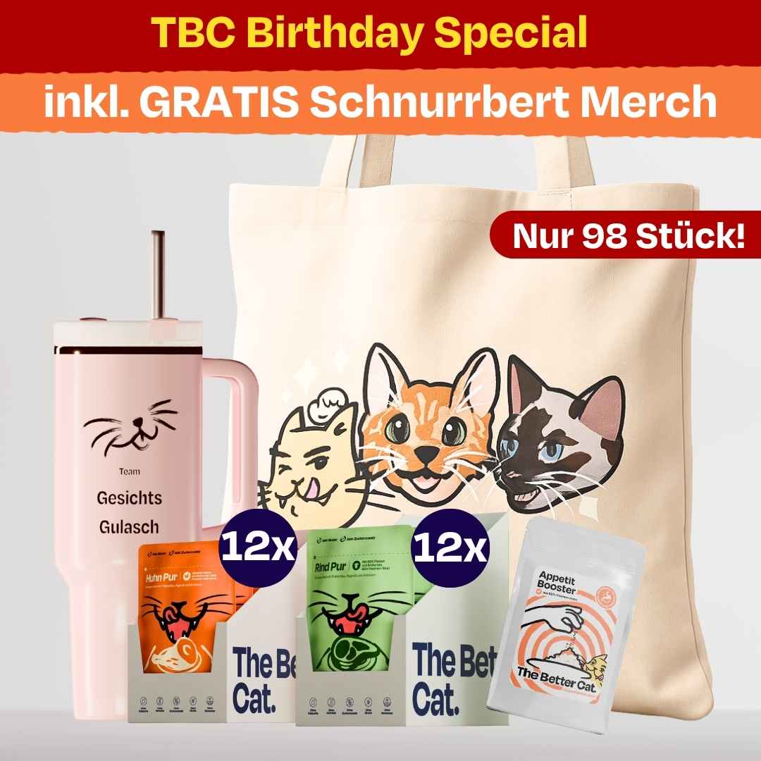 Schnurrbert x TBC Birthday Bundle inkl. GRATIS Merch – The Better Cat