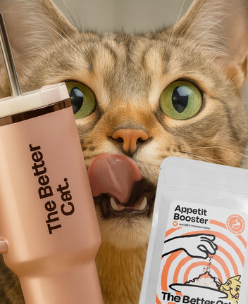 Katzenfutter - exklusiv für Katzen entwickelt - von Katzen und den Experten die sie lieben ...