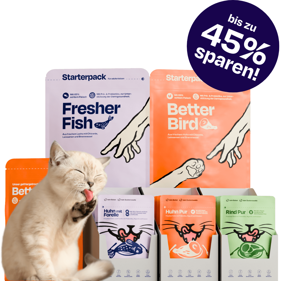 Katzenfutter - exklusiv für Katzen entwickelt - von Katzen und den ...