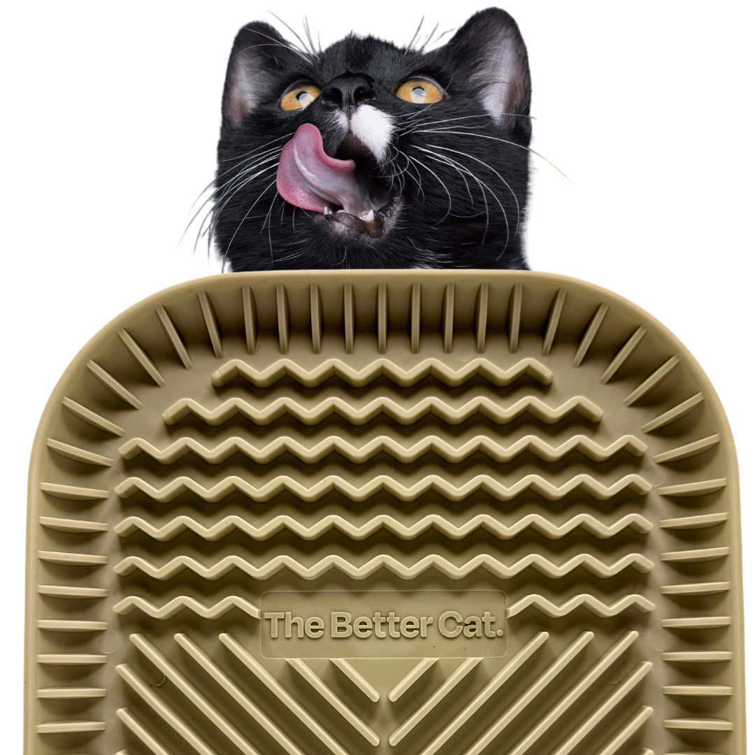 Katzenfutter - exklusiv für Katzen entwickelt - von Katzen und den ...