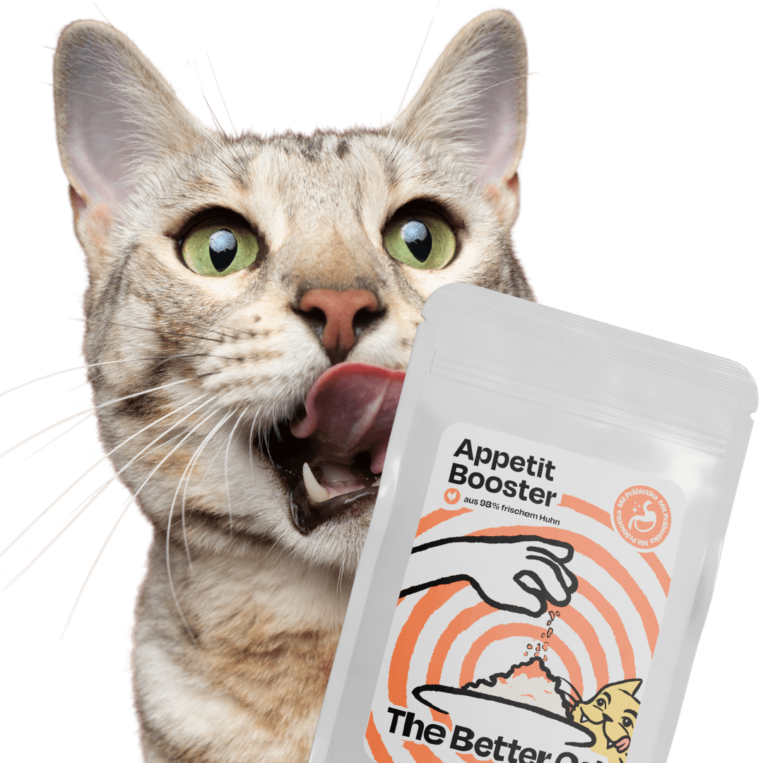 Katzenfutter - exklusiv für Katzen entwickelt - von Katzen und den ...